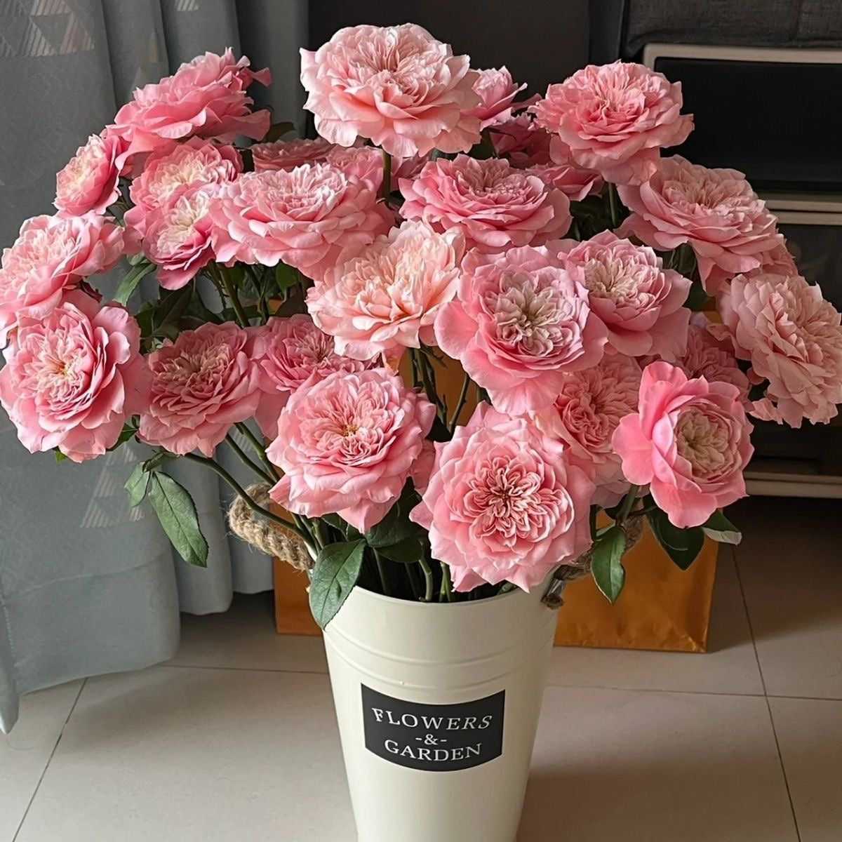 Mikoto rose-美琴｜Japanese Cut Rose – Ergongzy Roses