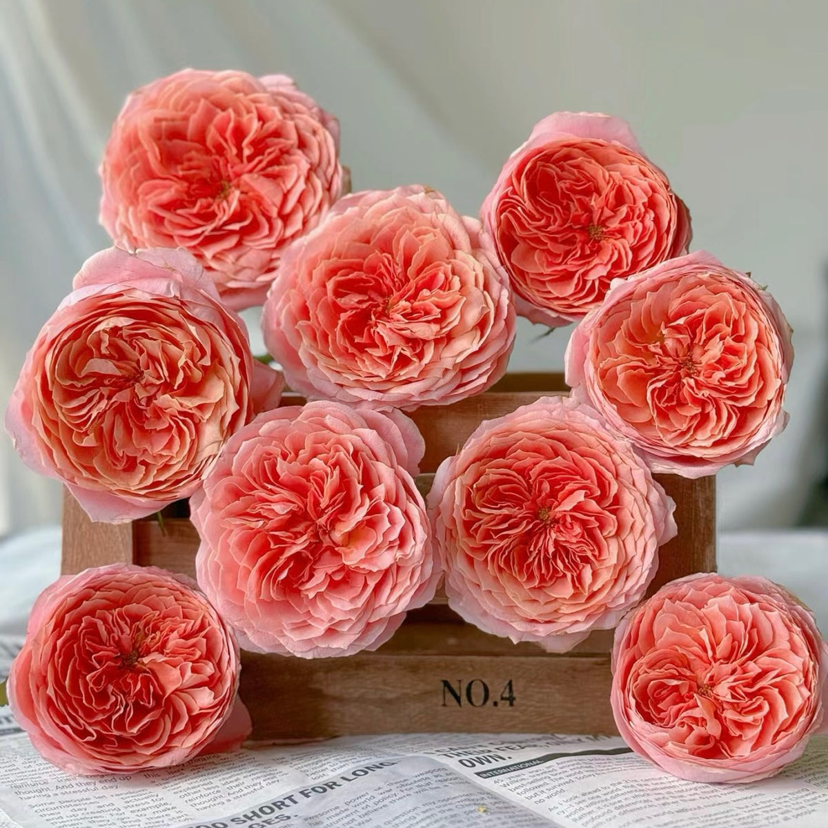Romantic antike Rose-浪漫古董｜Germany Cut roses – Ergongzy Roses