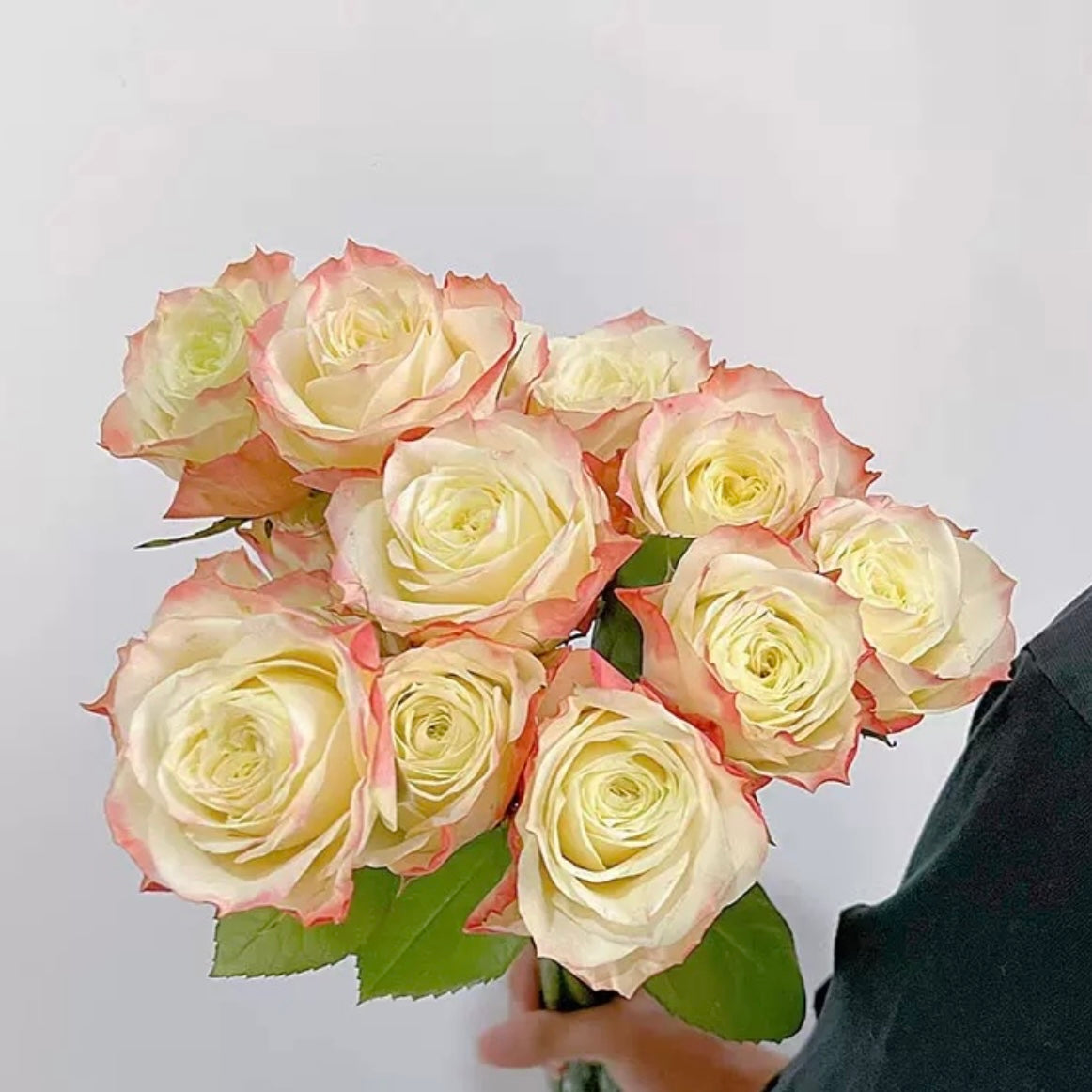 Adventure Rose-冒险｜Netherlands Cut Rose – Ergongzy Roses